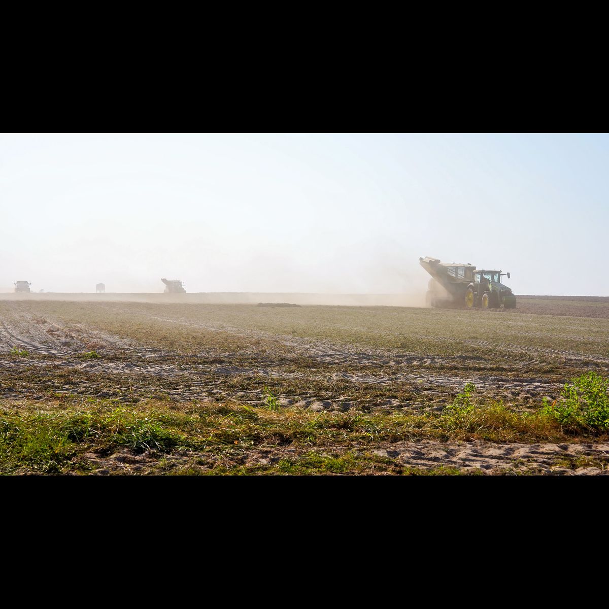 Growing Rural Georgia: PROPEL Rural Scholars